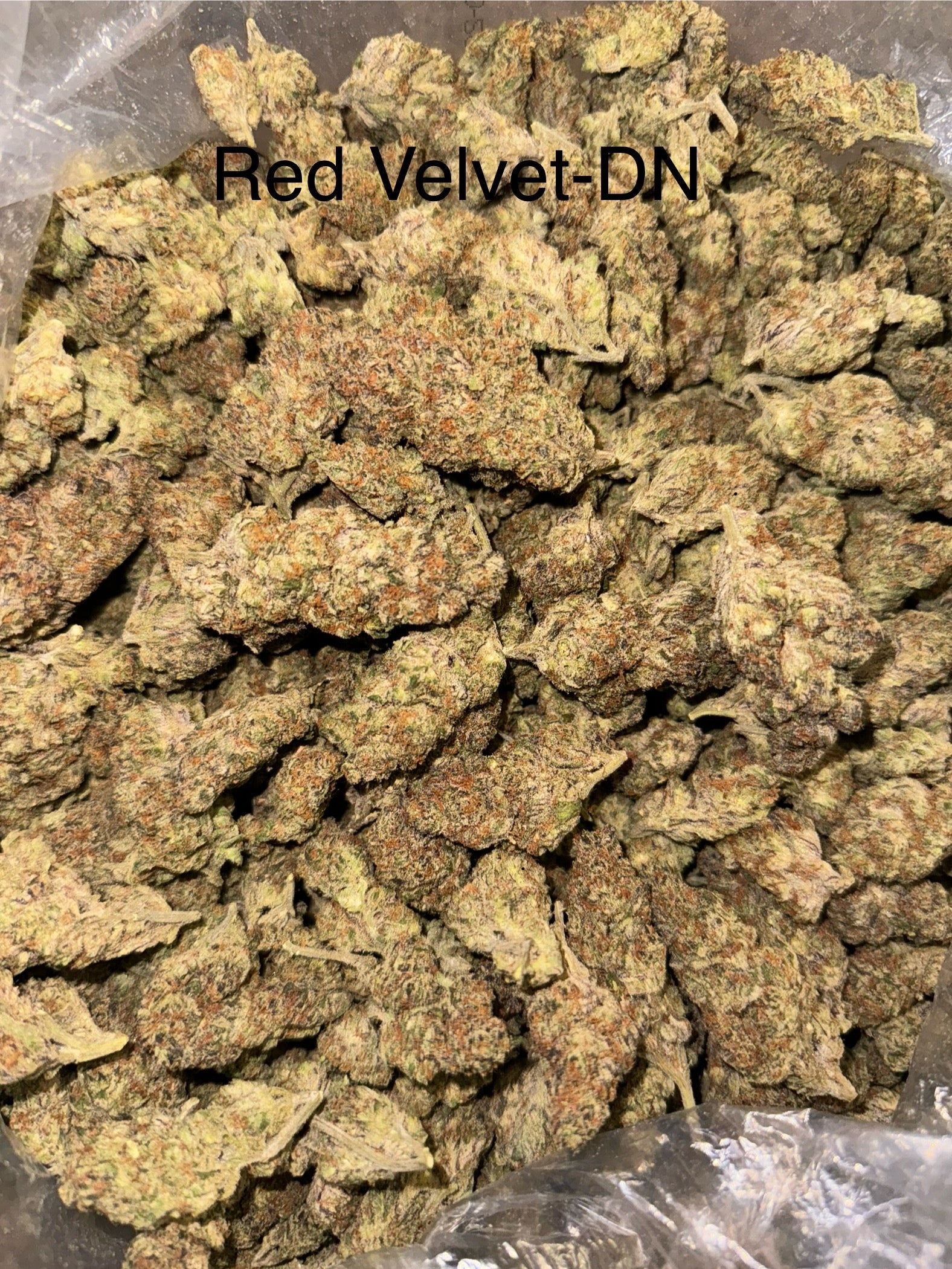 DN - Red Velvet 11 | Buy Online – VOT Brands